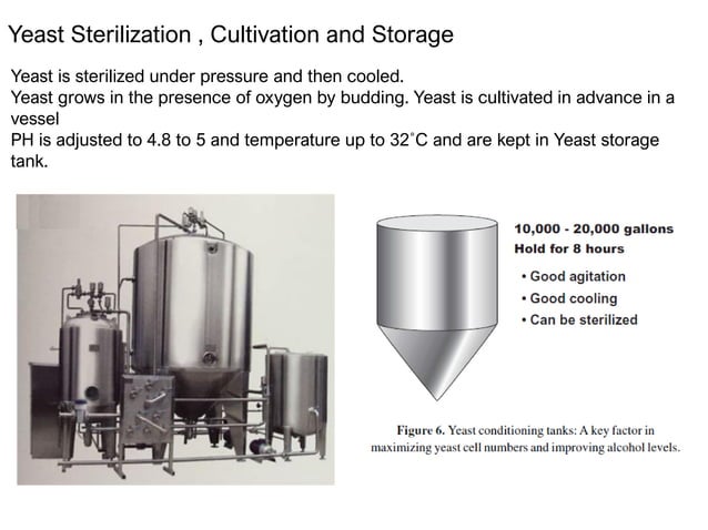 ETHANOL FERMENTATION USING BIOMASS | PDF