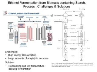 ETHANOL FERMENTATION USING BIOMASS | PDF