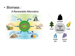 ETHANOL FERMENTATION USING BIOMASS | PDF
