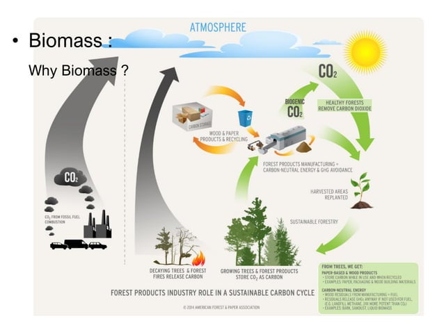 Ethanol Fermentation Using Biomass