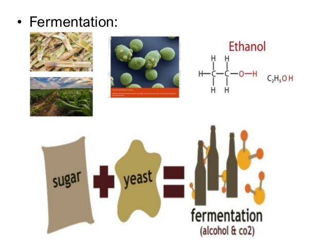 ETHANOL FERMENTATION USING BIOMASS