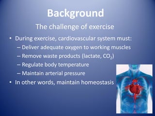 The Pressor Response Large Vs. Small Muscle Exercise | PPT