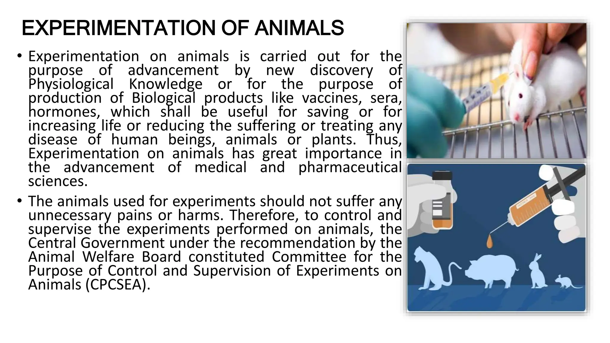 THE PREVENTION OF CRUELTY TO ANIMALS ACT,.pptx