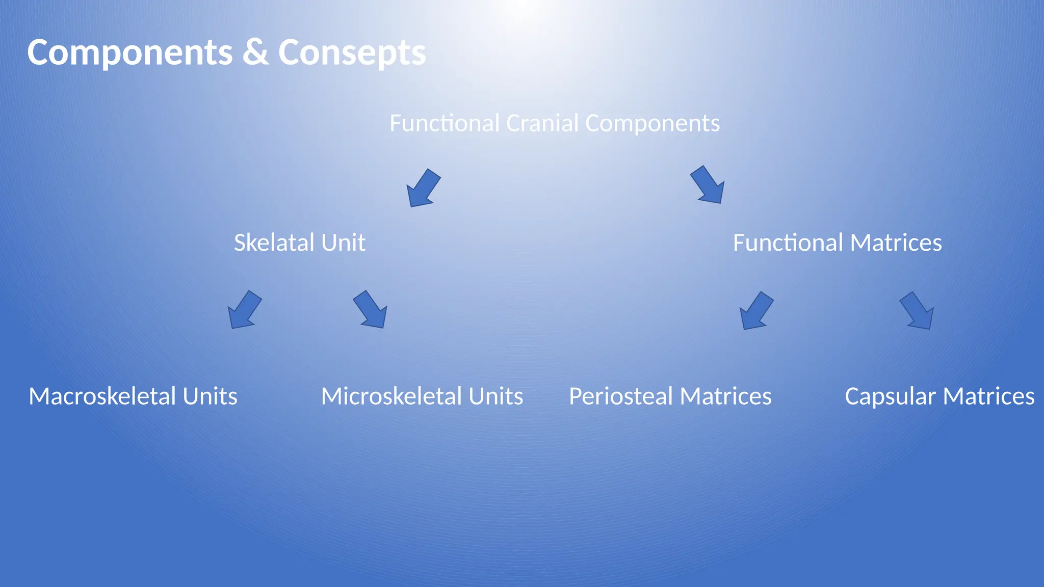 The Primary Role Of Functional Matrices in facial Growth.pptx