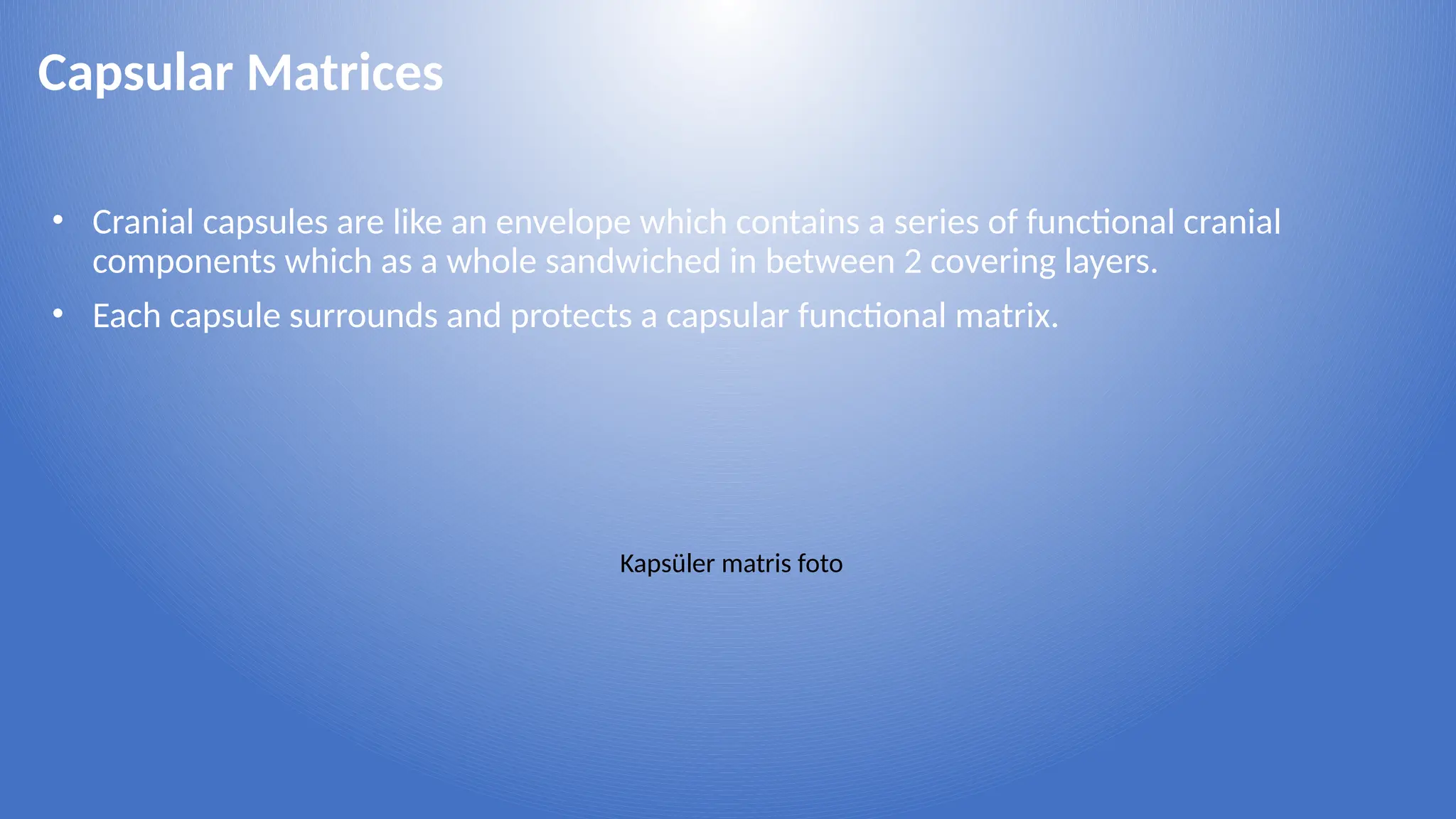 The Primary Role Of Functional Matrices in facial Growth.pptx