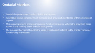 The Primary Role Of Functional Matrices in facial Growth.pptx