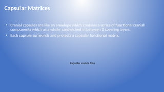 The Primary Role Of Functional Matrices in facial Growth.pptx