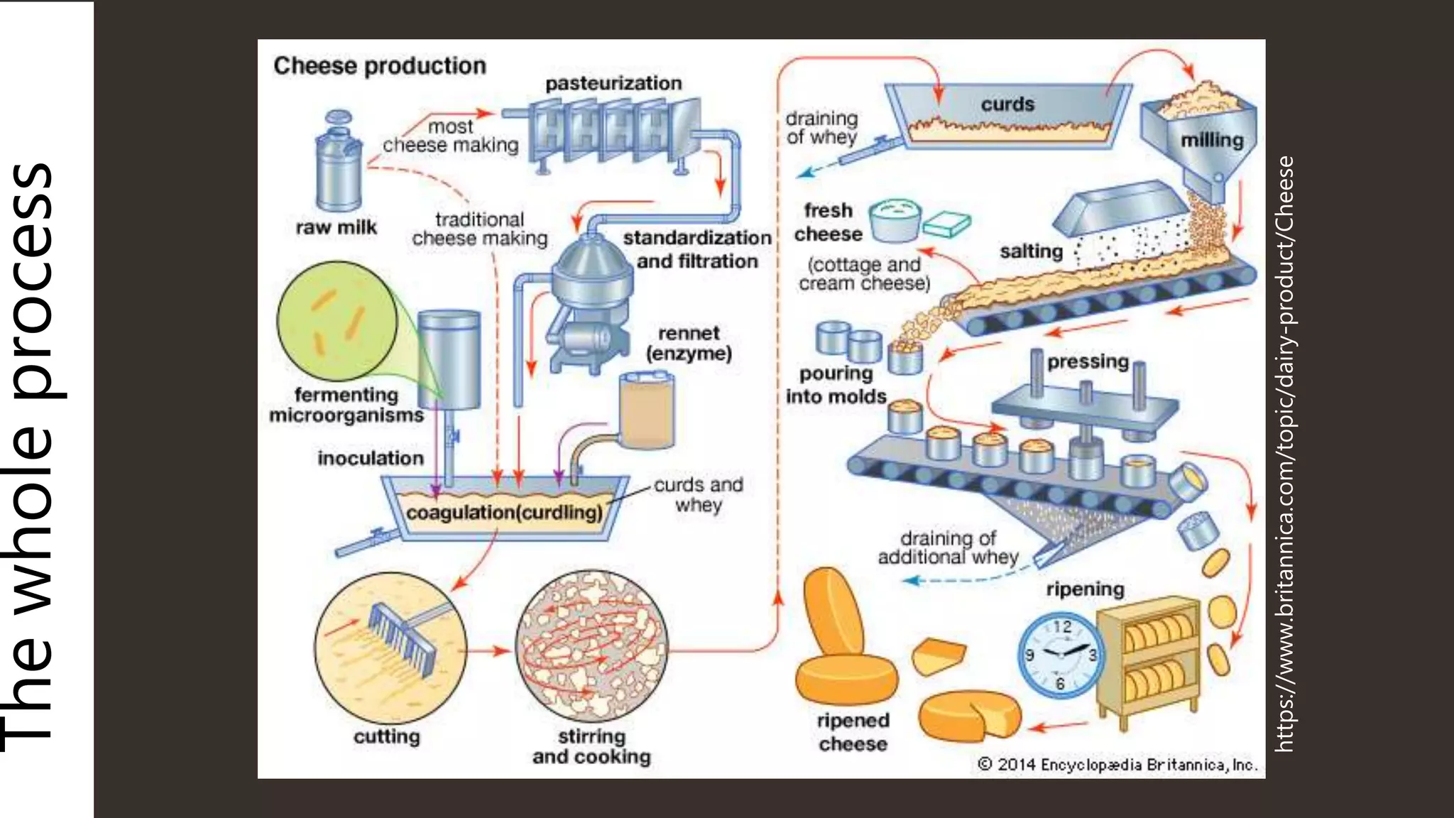 The principle of cheese making | PPTX