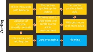 The principle of cheese making | PPTX