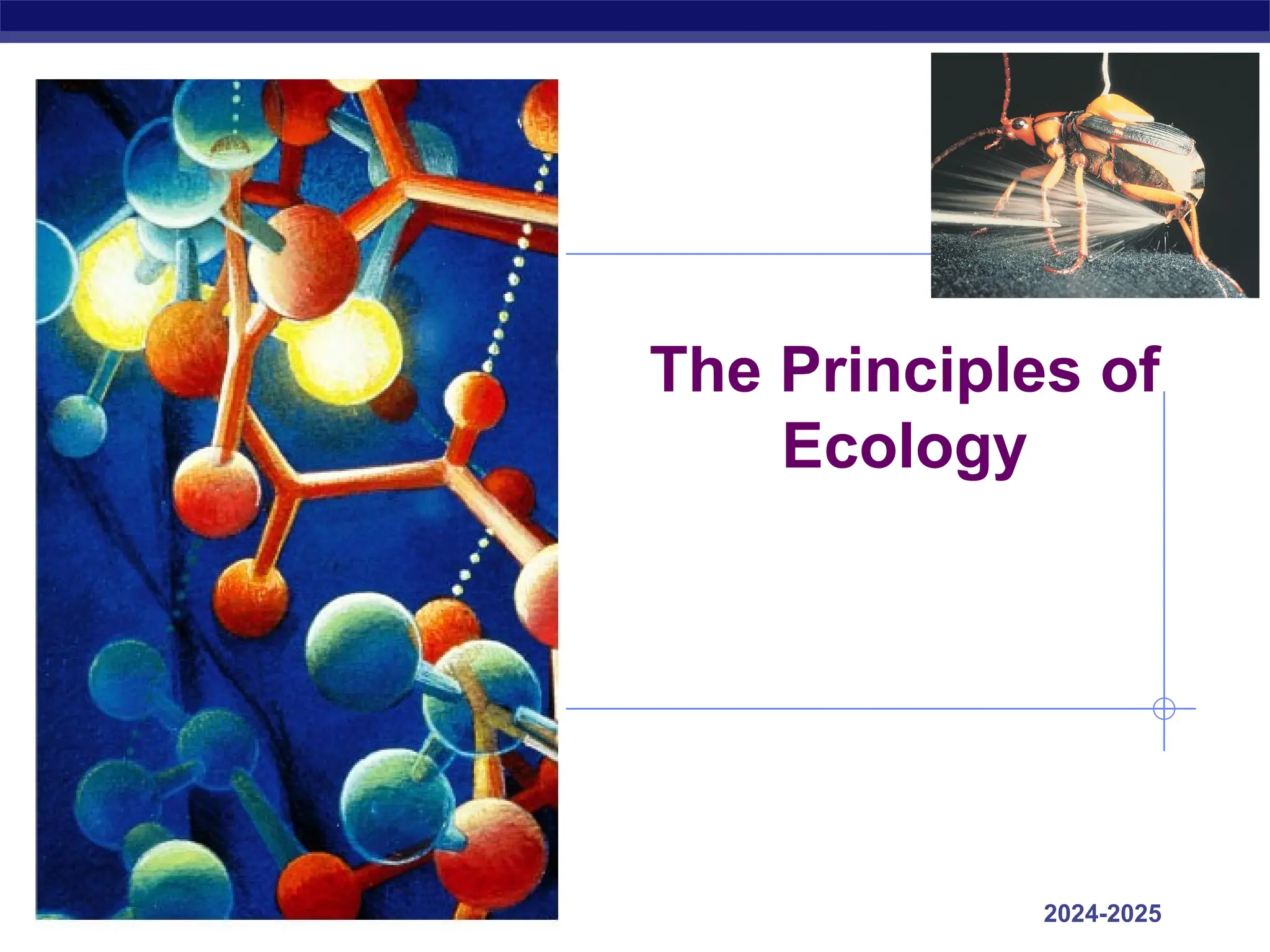 The principle of ecology for biology students | PPTX