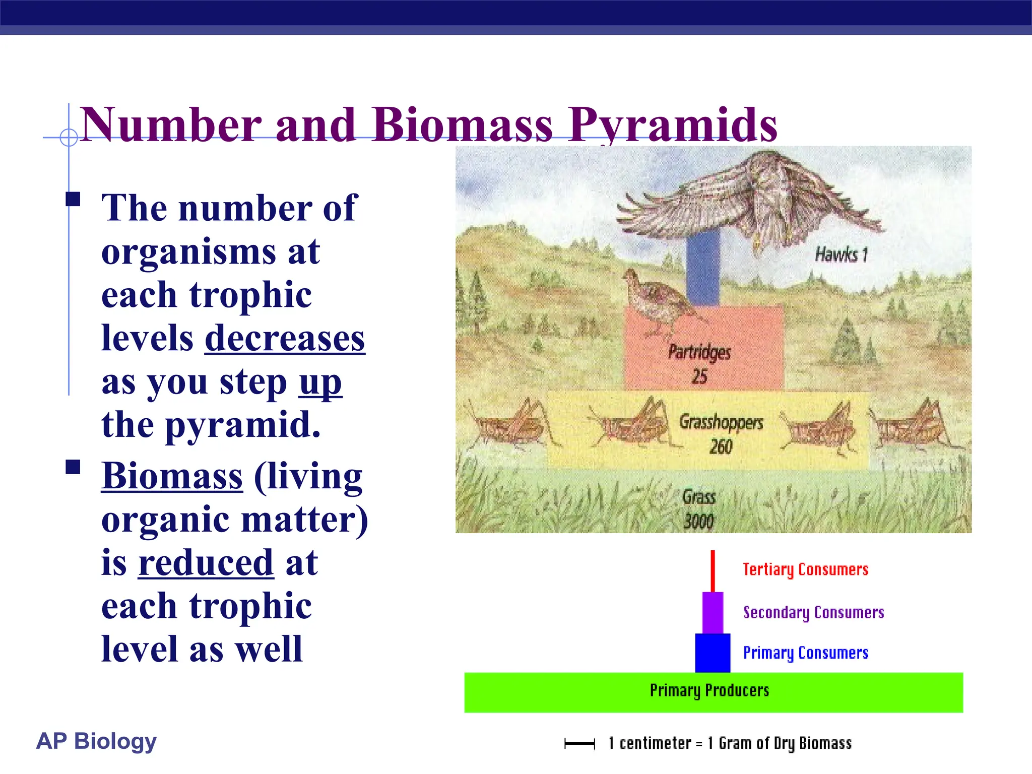 The principle of ecology for biology students | PPT