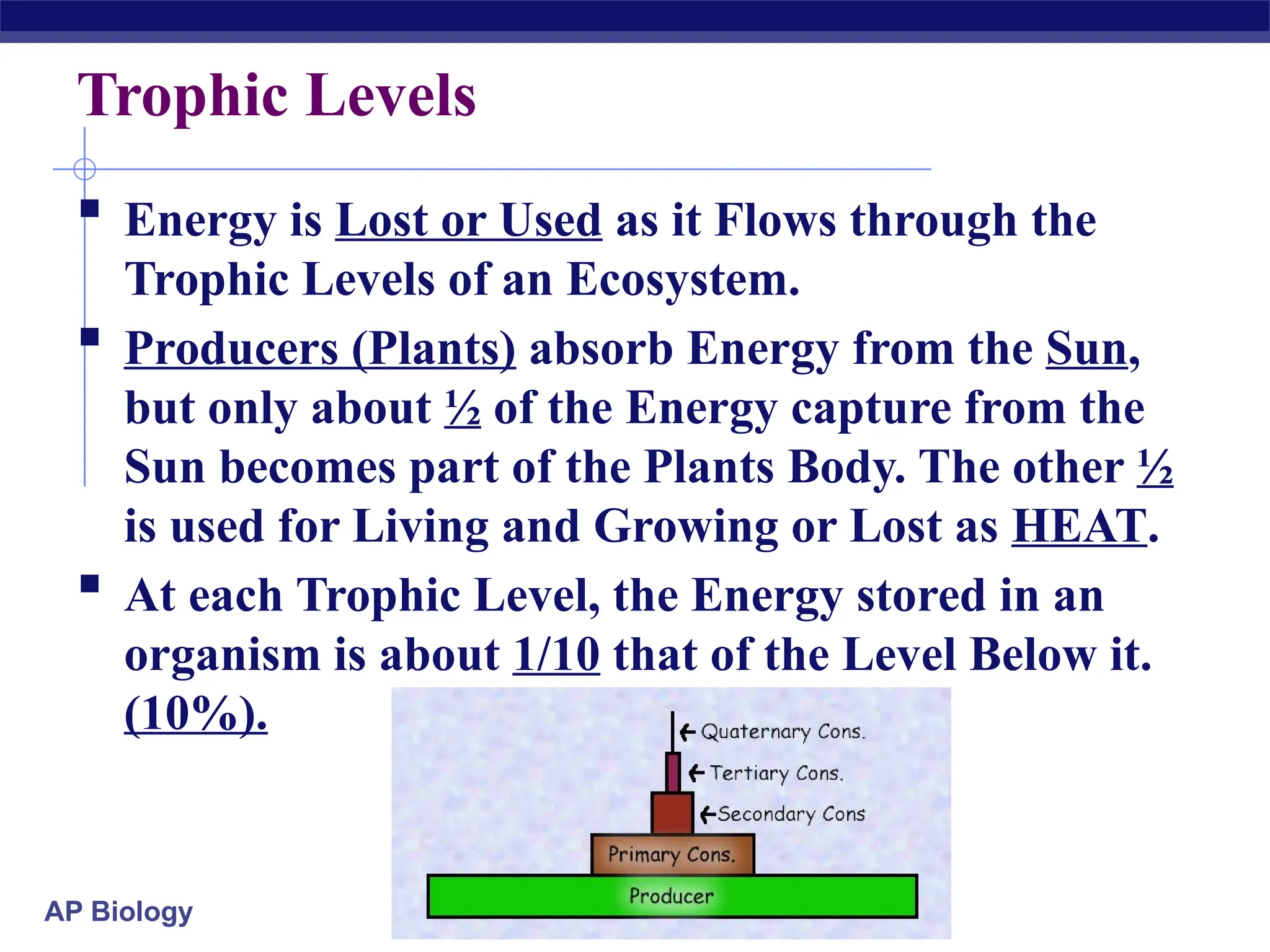 The principle of ecology for biology students | PPT