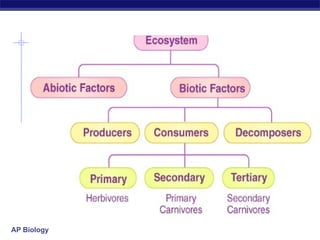 The principle of ecology for biology students | PPTX