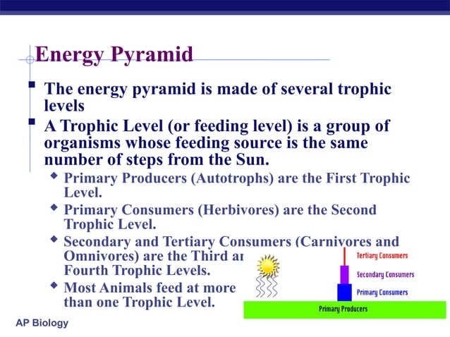 The principle of ecology for biology students | PPT