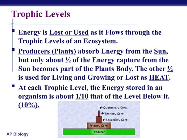 The principle of ecology for biology students | PPT