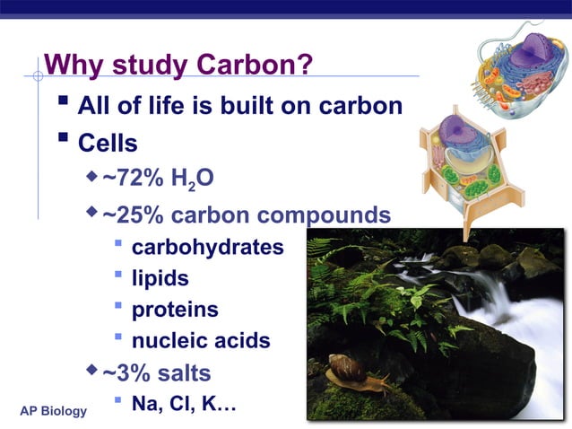 The principle of ecology for biology students | PPT