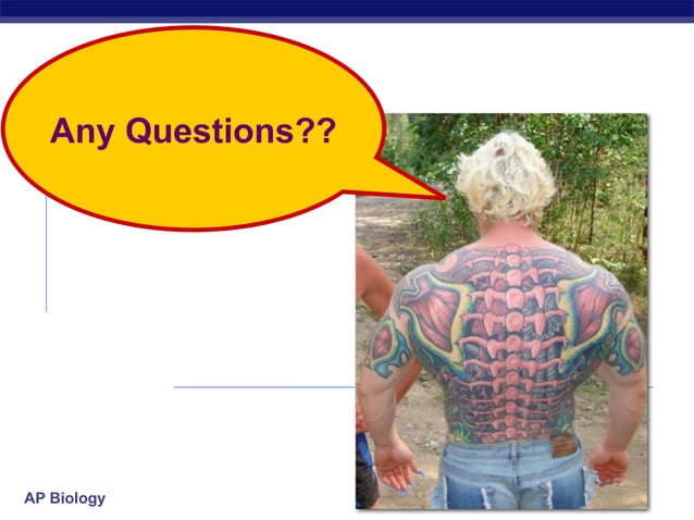The principle of ecology for biology students | PPT