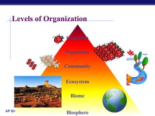 The principle of ecology for biology students | PPT