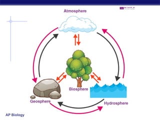 The principle of ecology for biology students | PPTX