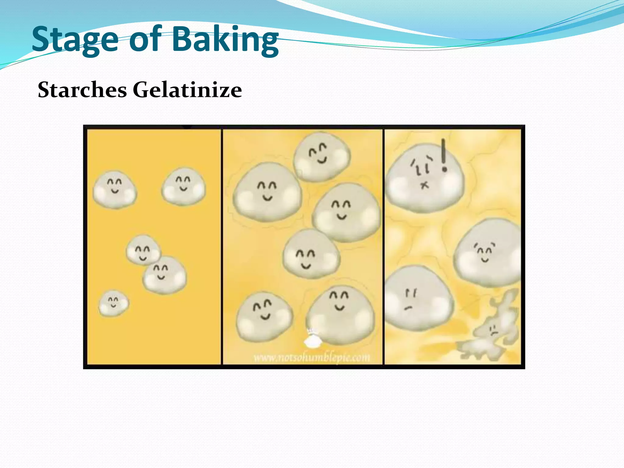 The principles of baking | PPTX