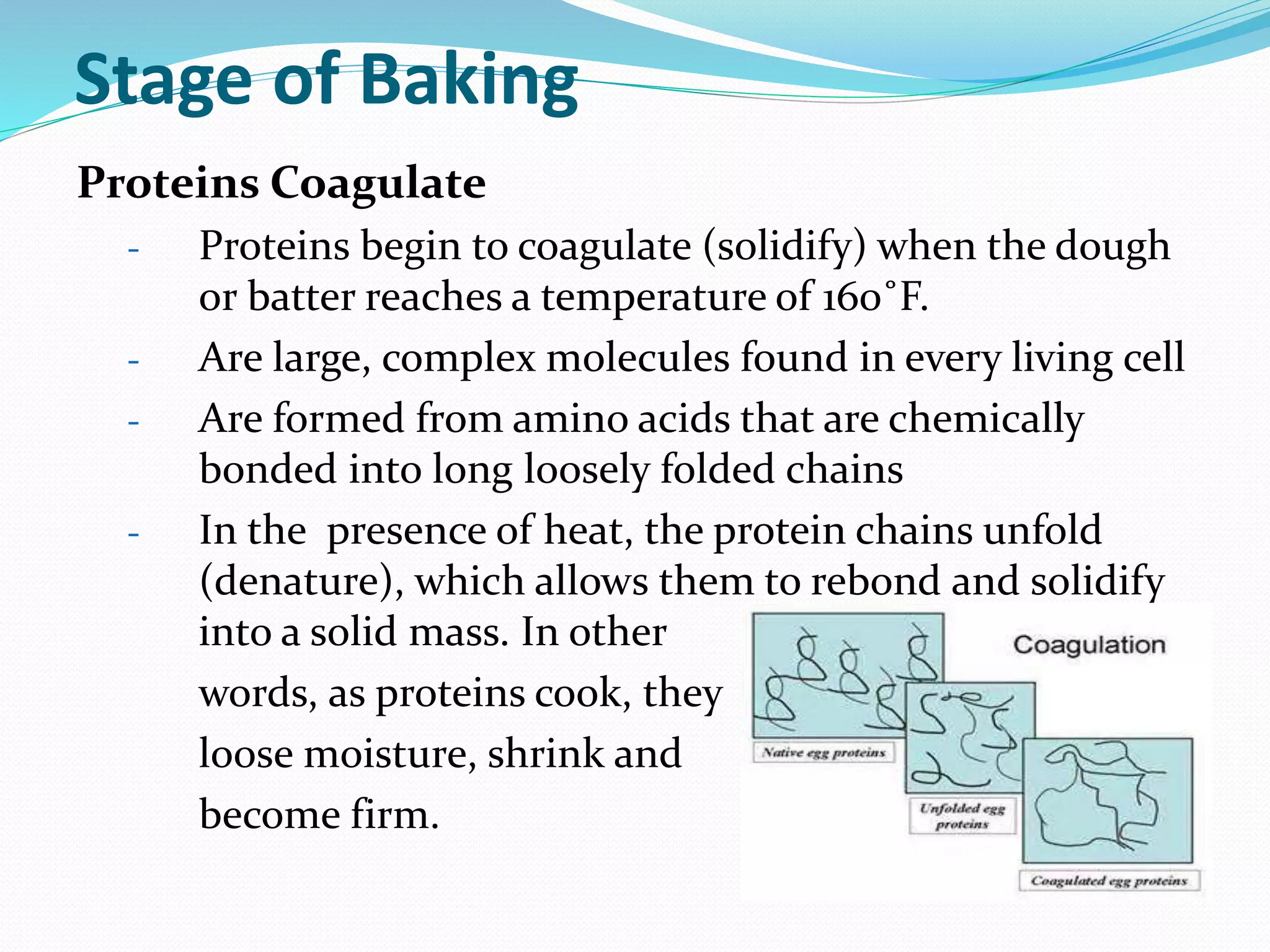 The principles of baking | PPTX