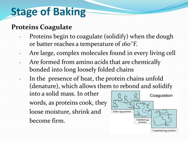 The principles of baking | PPTX