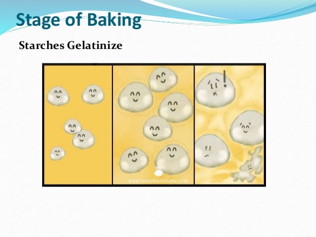 The principles of baking