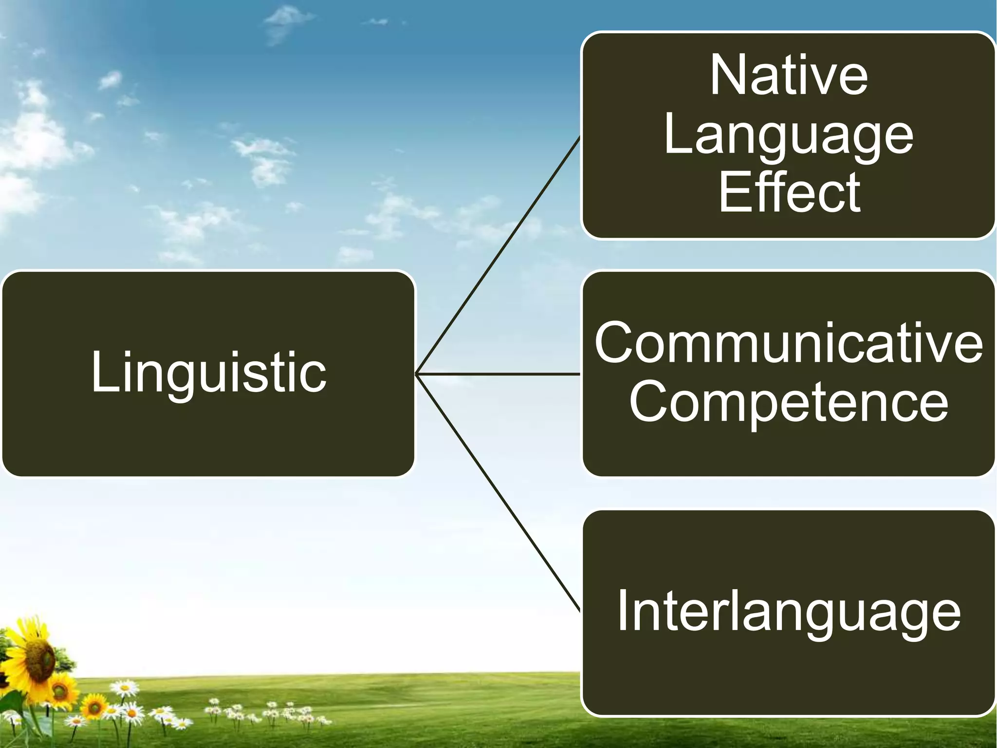 The principles of language learning | PPTX