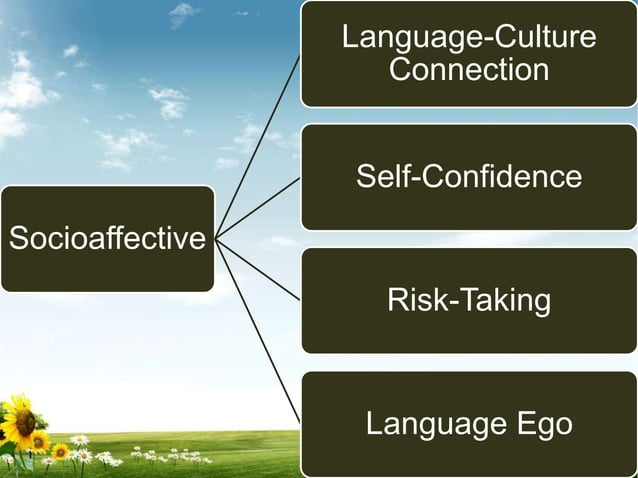 The principles of language learning | PPTX