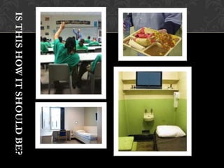 The Prison System | PPTX