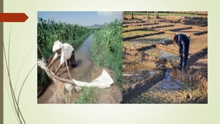 The problem Water for agriculture | PPTX