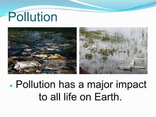 The Problem Water Pollution | PPT