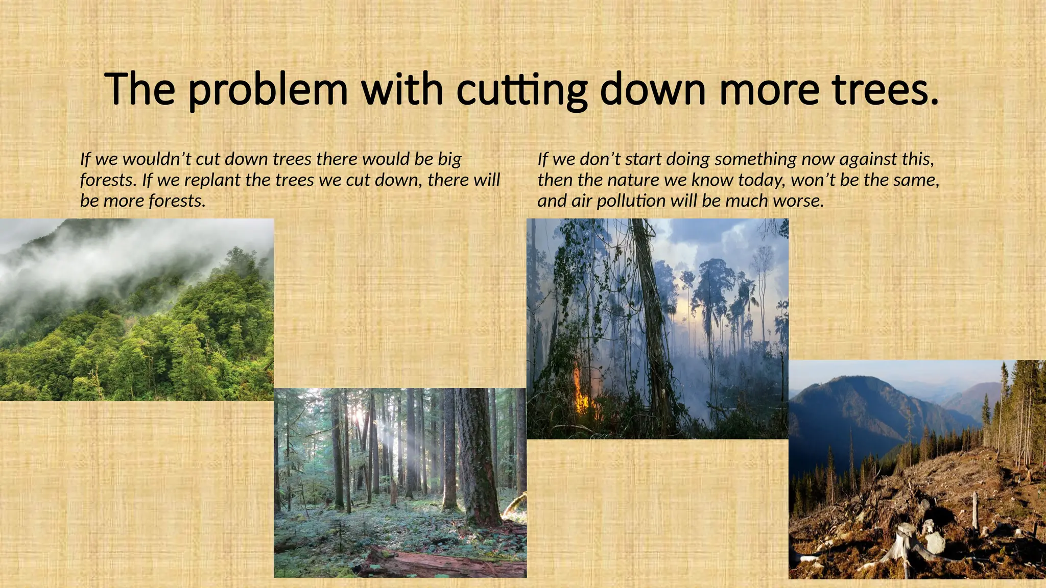 The problem with cutting down more trees.pptx