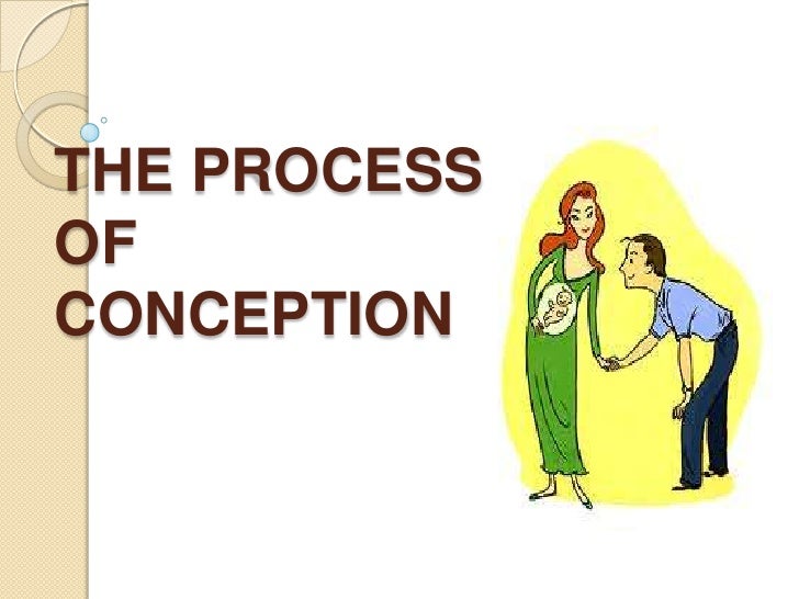 The process of conception
