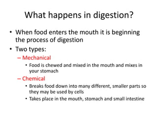 The process of digestion | PPTX