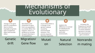 The Process of Evolution (earth and life).pptx