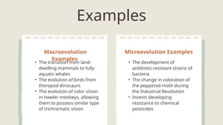 The Process of Evolution (earth and life).pptx