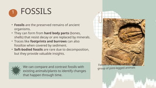The Process of Evolution (earth and life).pptx