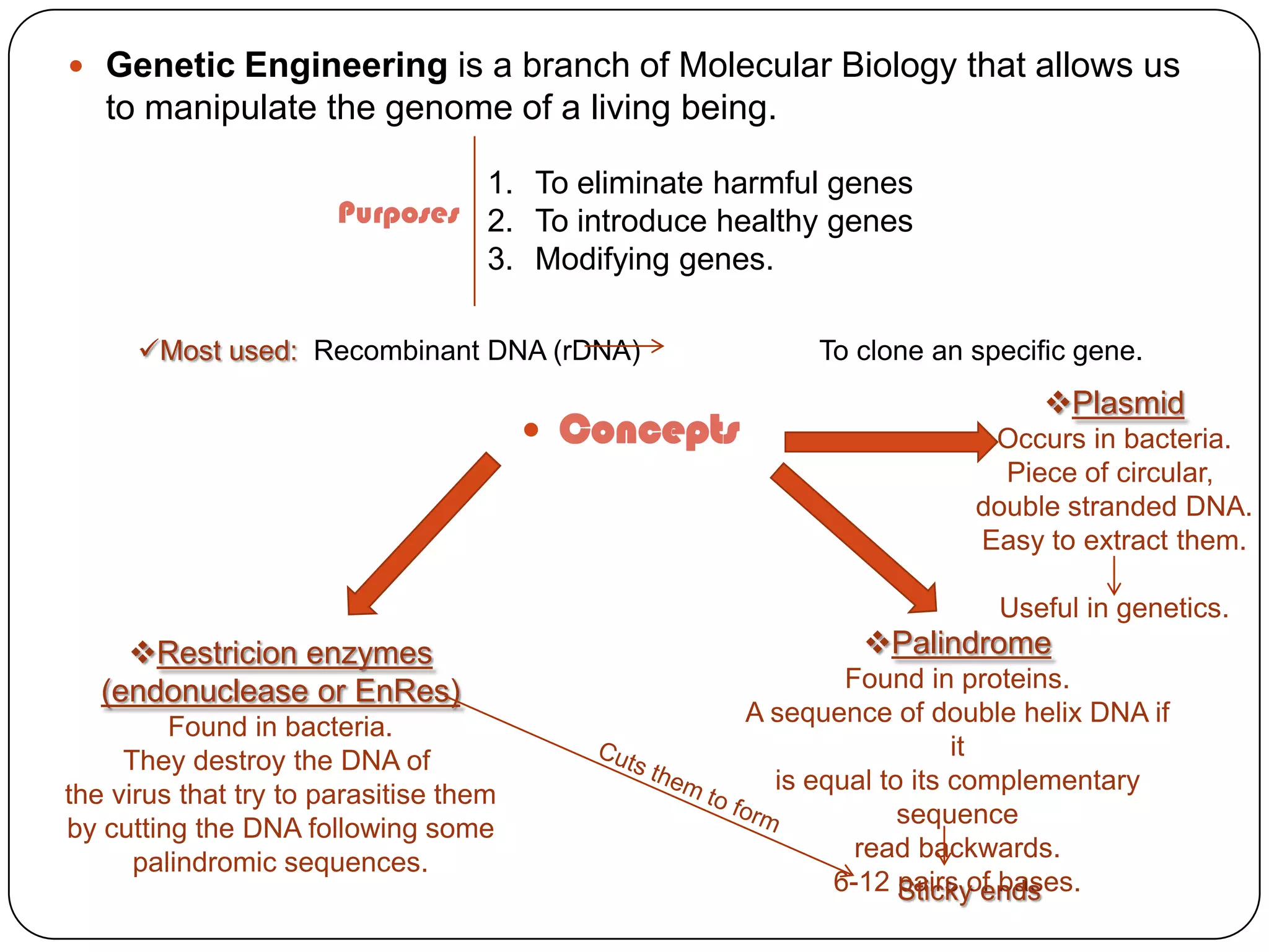 The process of genetic engineering in detail | PPTX