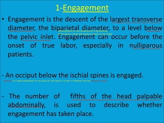 The process of labour.pdf by doctor saba | PPT