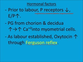 The process of labour.pdf by doctor saba | PDF