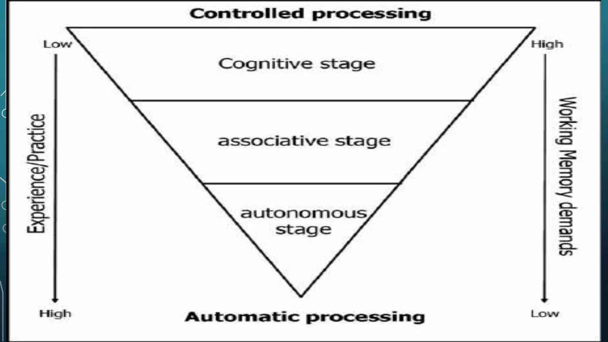 The process of learning motor skills | PPTX