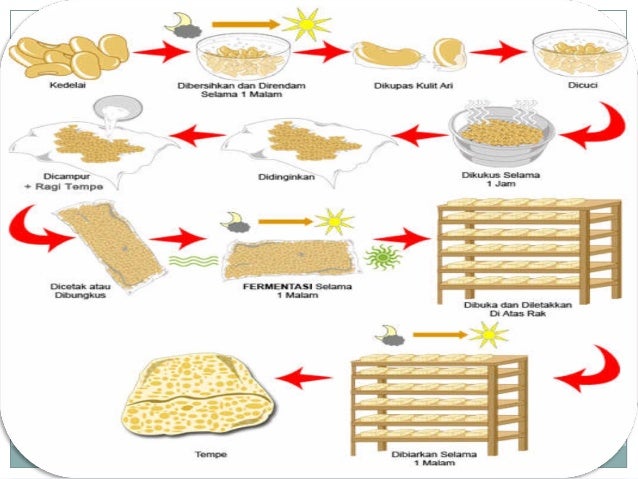 The process of making tempe by Pangestu Chaesar
