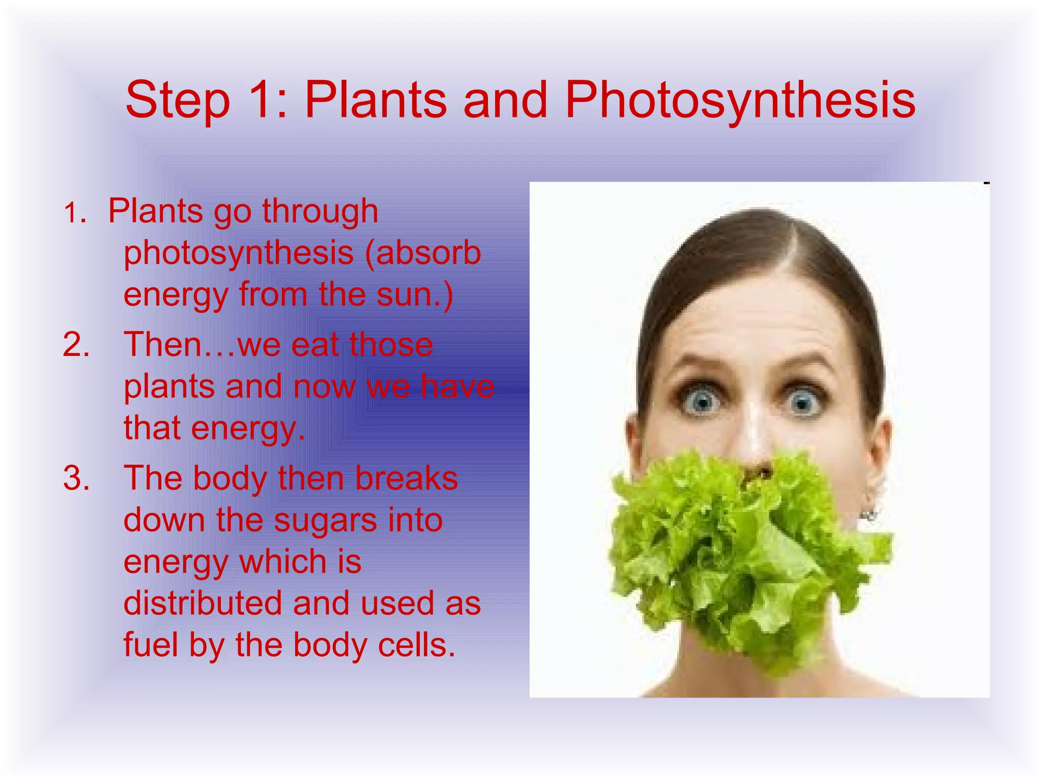 The process of metabolism!! | PPT
