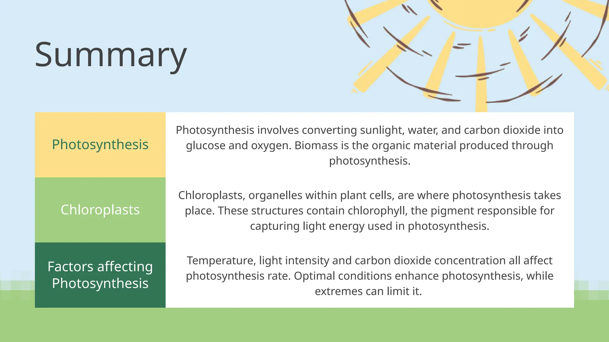 The Process of Photosynthesis (1)cc.pptx