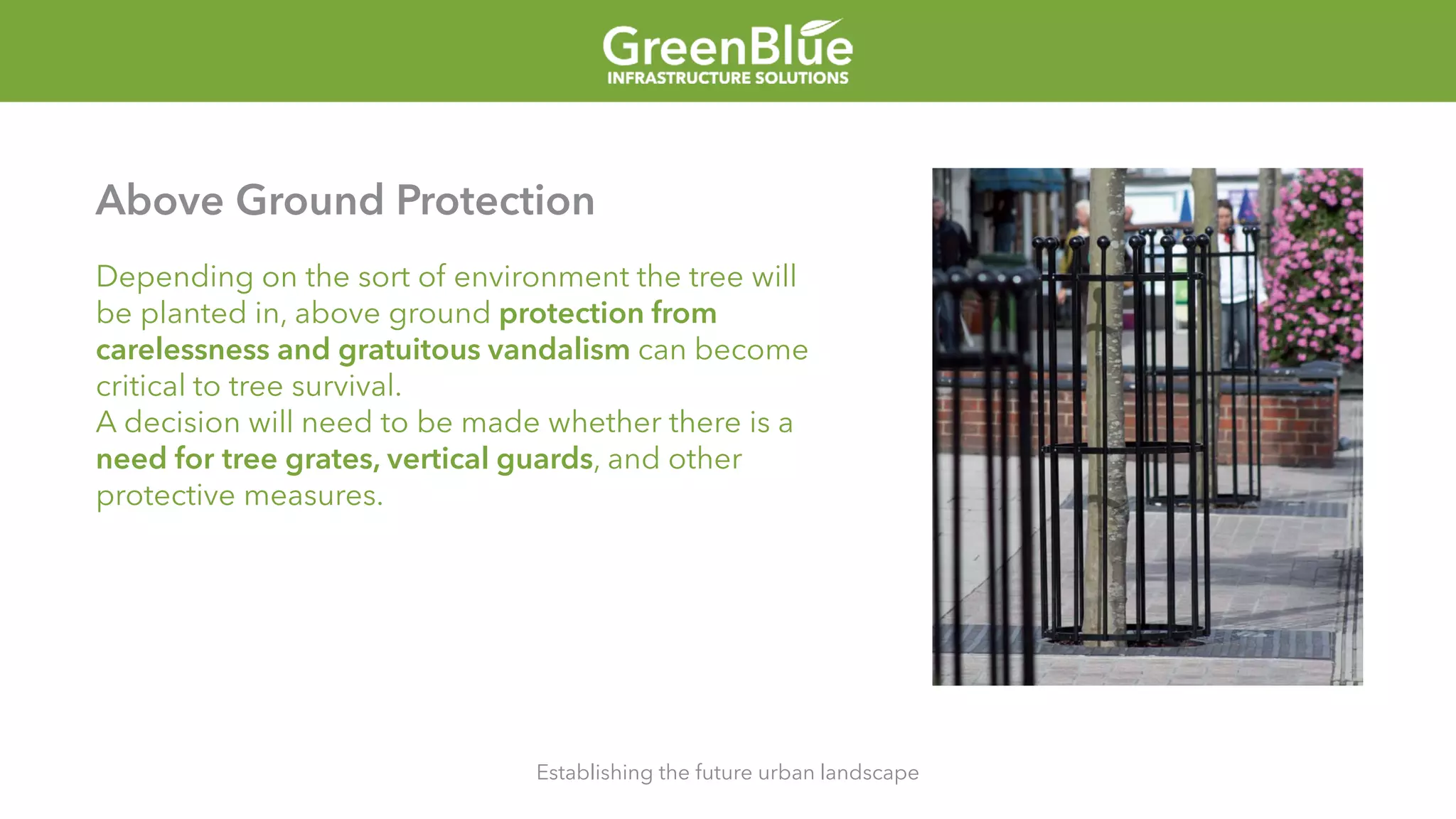 The Process of Successful Tree Pit Design by GreenBlue | PPT