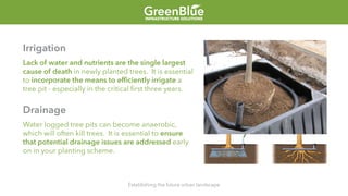The Process of Successful Tree Pit Design by GreenBlue | PPT