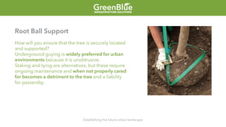 The Process of Successful Tree Pit Design by GreenBlue | PPT