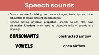 The Production of Speech Sounds in the Phonetics and phonology | PDF