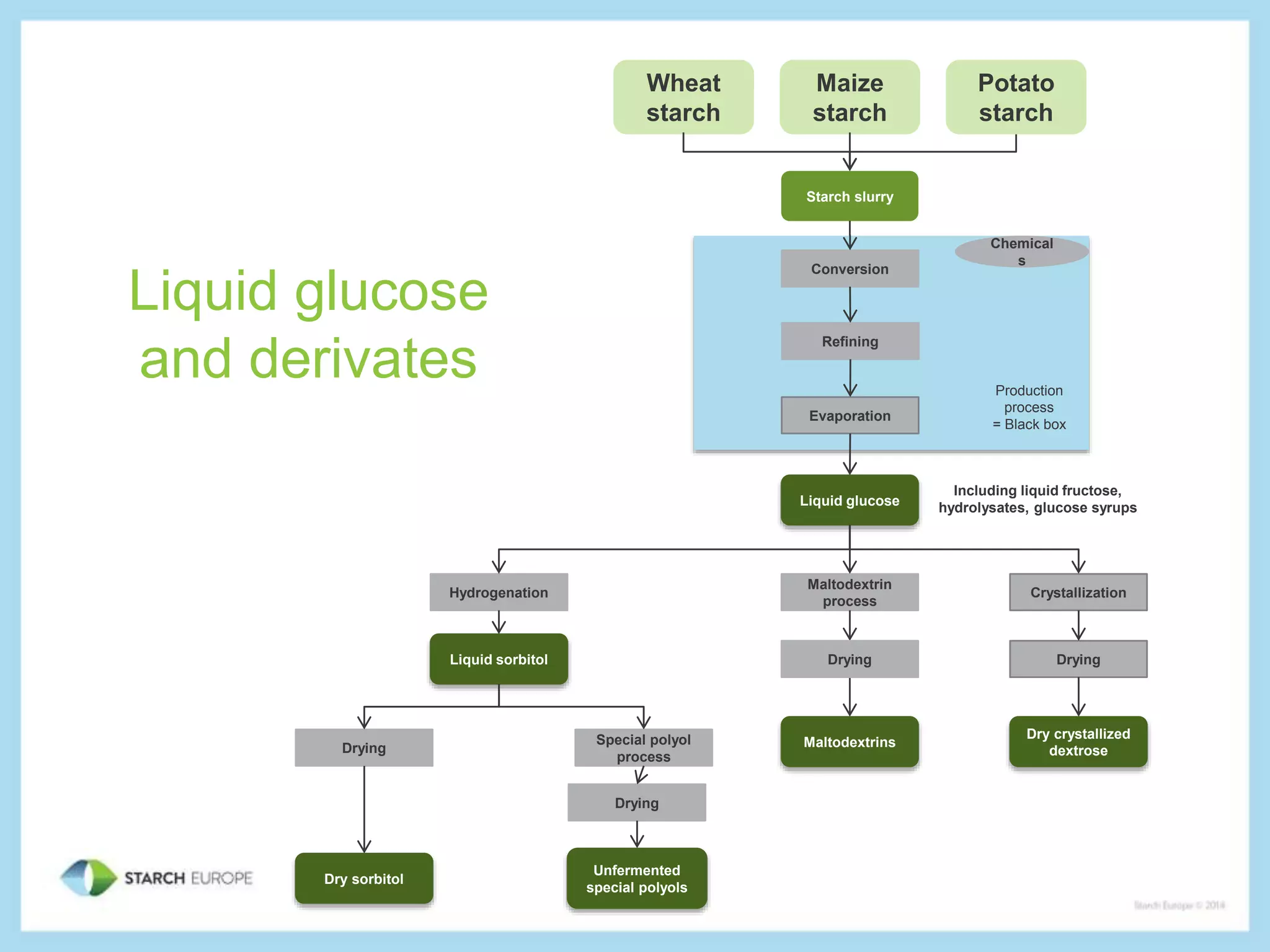 The production process of starch | PPTX